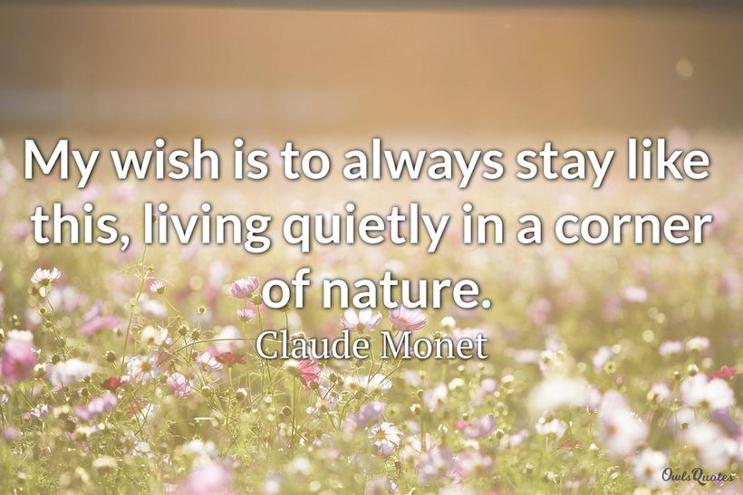 25 Beautiful Scenery Quotes