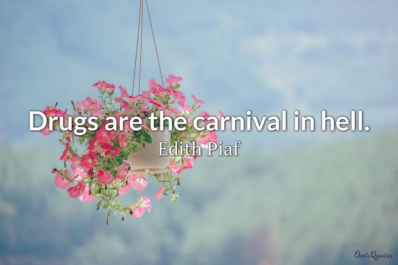 30 Quotes and Sayings About Carnivals