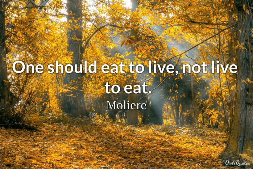 29 Food Quotes to Motivate You to Treat Yourself Nicely