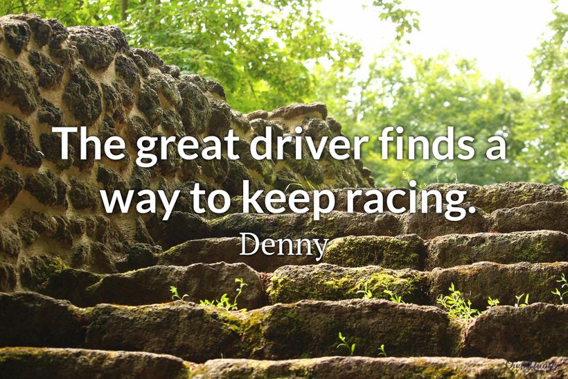 29 Iconic the Art of Racing in the Rain Quotes