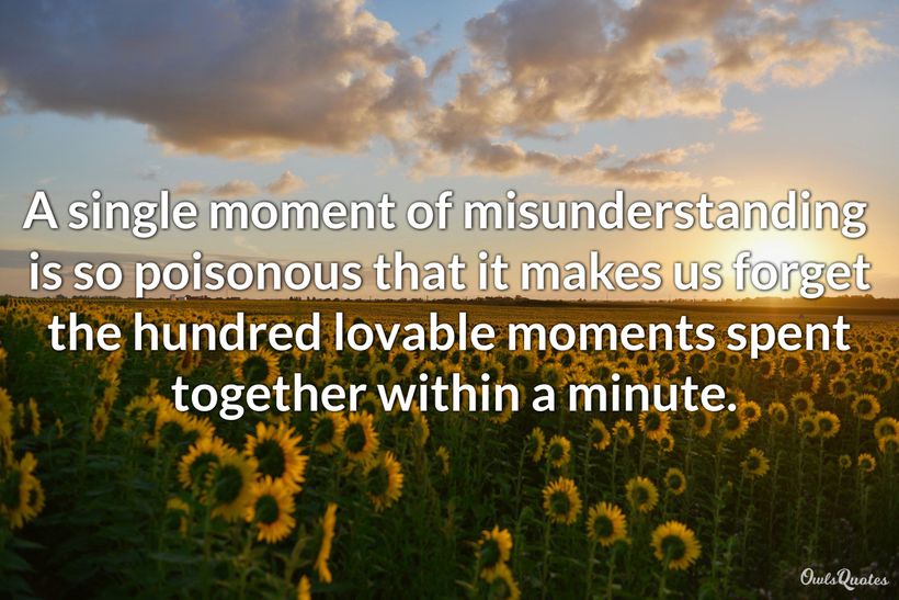 30 quotes on misunderstanding