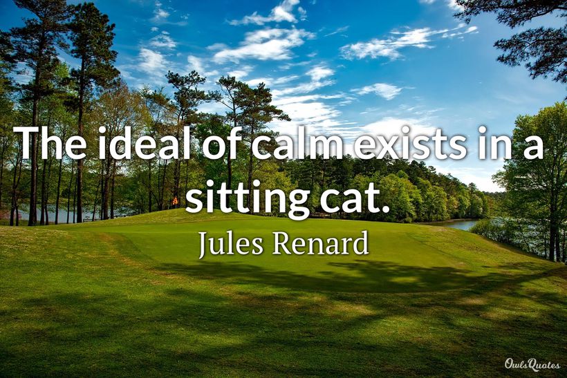 25 Sitting Quotes You Want to Read When You Are Alone