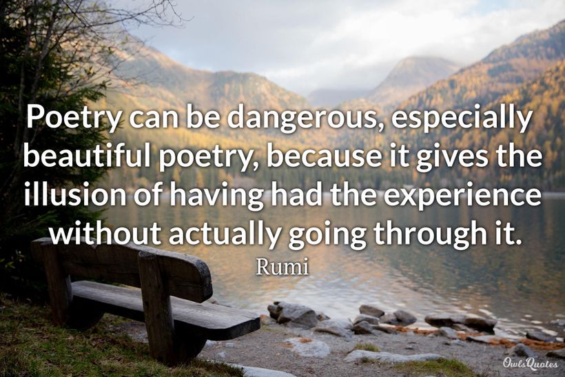 30 Poetry Quotes That Will Help You Recognize the Beauty of Poems