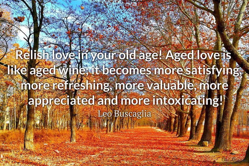 25 Refreshing Quotes to Help You Find the Calm You Need