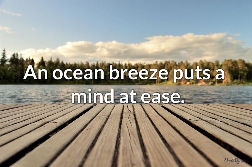 30 Relatable Sayings and Quotes on Breeze