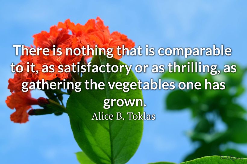 Top 30 Gathering Quotes