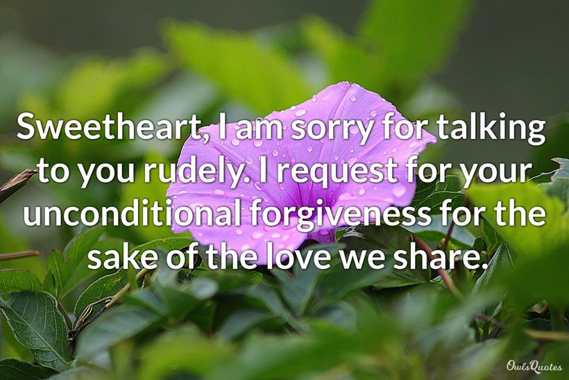 30 Heart Touching Sorry Messages for Boyfriend
