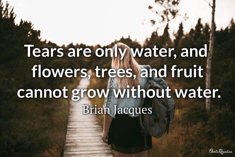 25 Quotes About Tears That Will Melt Your Heart