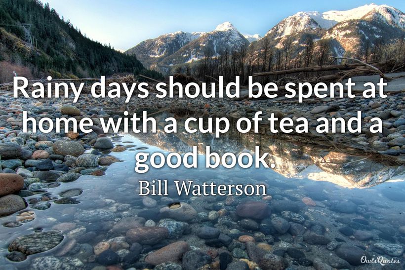 25 Best Tea Quotes