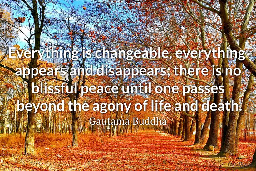 30 "Nothing Is Permanent" Quotes