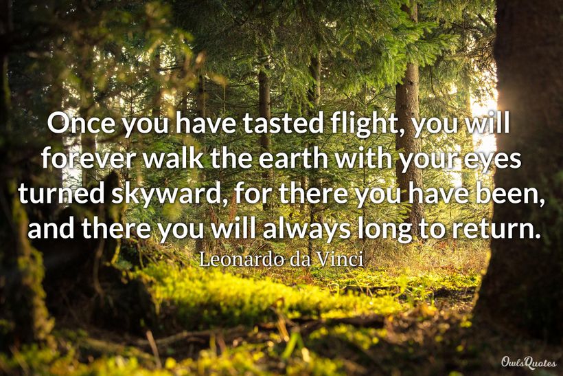 24 Fly Quotes That Help You to Soar