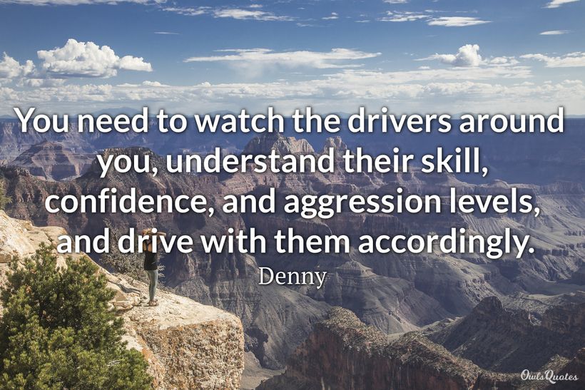 29 Iconic the Art of Racing in the Rain Quotes