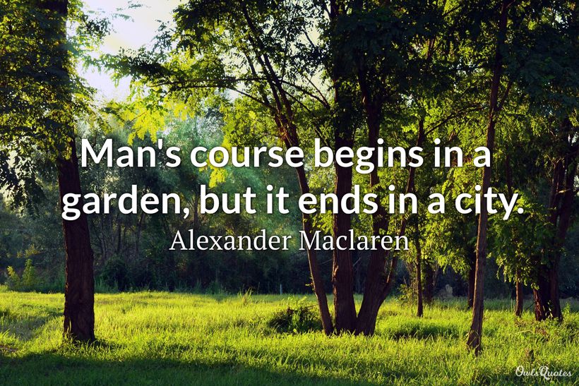 25 Best City Life Quotes