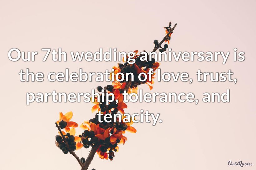 30 Best 7th Wedding Anniversary Wishes To Mark This Happy Occasion