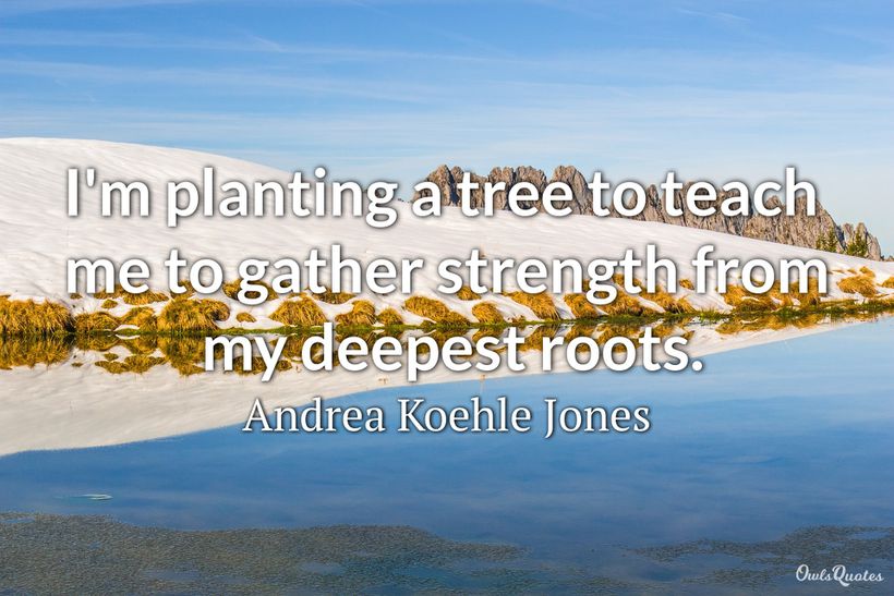30 Quotes About Roots to Never Forget Your Base