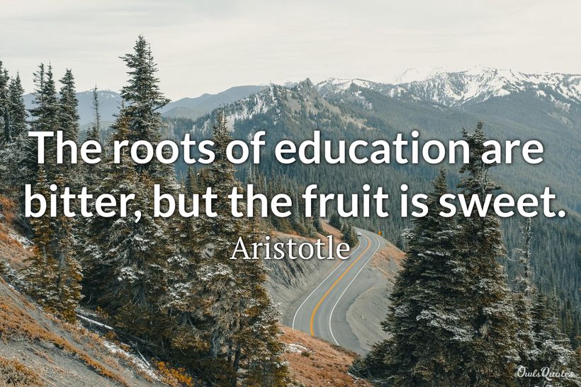 30 Quotes About Roots to Never Forget Your Base