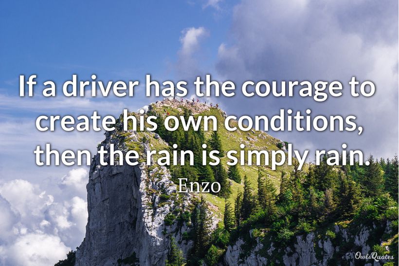 29 Iconic the Art of Racing in the Rain Quotes