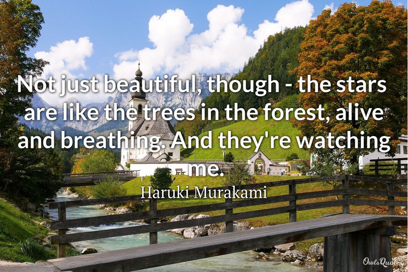 25 Beautiful Scenery Quotes