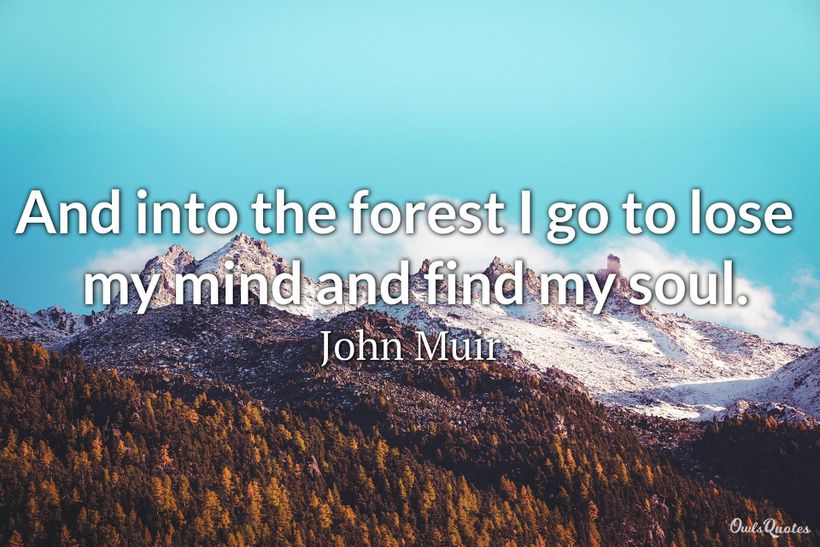 25 Beautiful Scenery Quotes