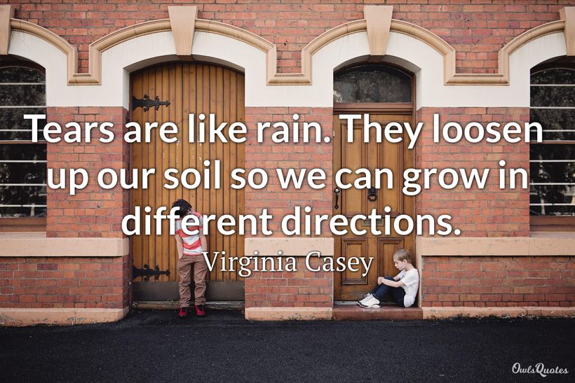 25 Quotes About Tears That Will Melt Your Heart