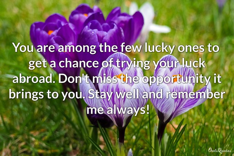 Top 30 Quotes For A Friend Who Is Going Abroad For Studies top-30-quotes-for-a-friend-who-is-going-abroad-for-studies