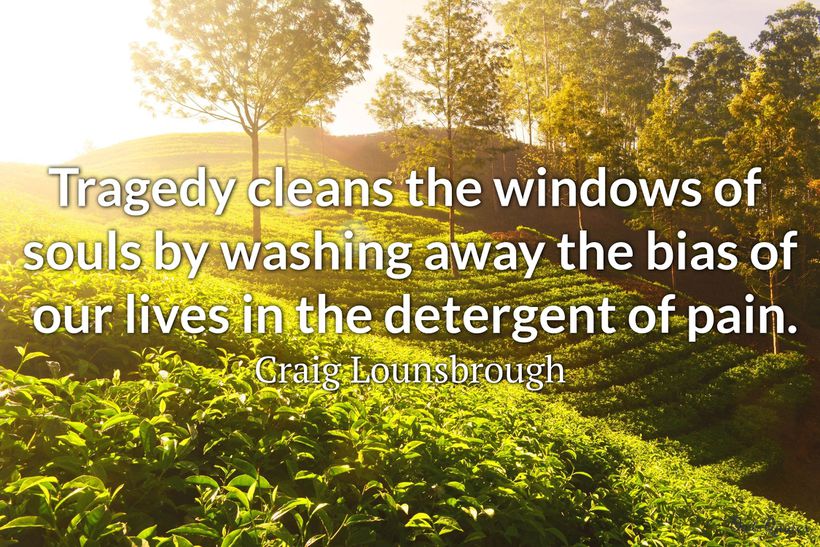 25 Inspirational Window Quotes