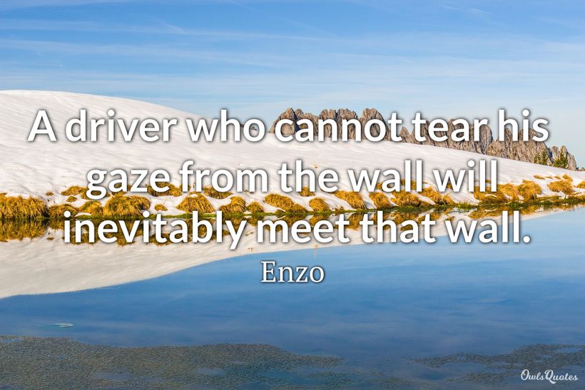 29 Iconic the Art of Racing in the Rain Quotes