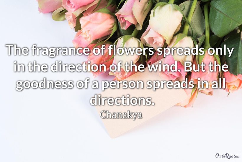 Top 25 Fragrance Quotes
