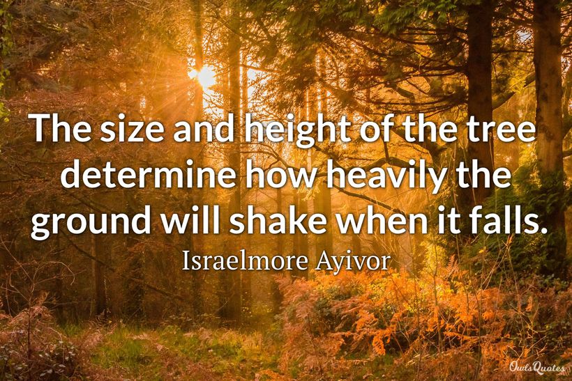 25 Heights Quotes to Motivate Yourself