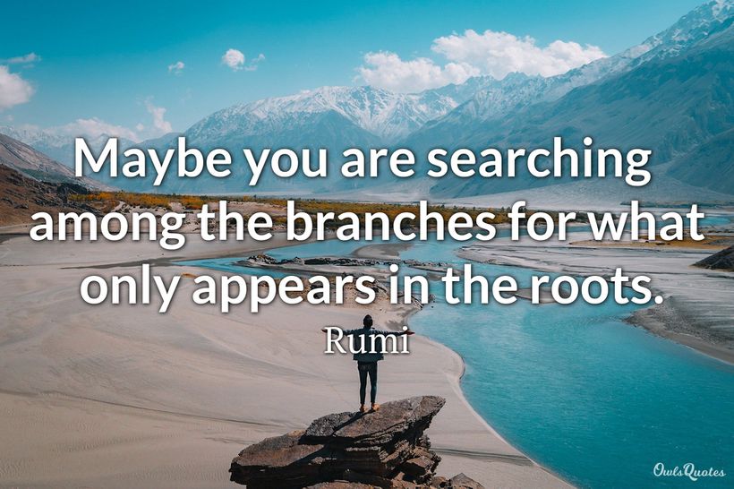 30 Quotes About Roots to Never Forget Your Base