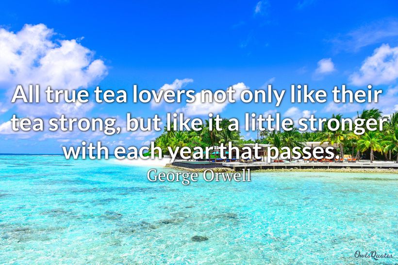 25 Best Tea Quotes