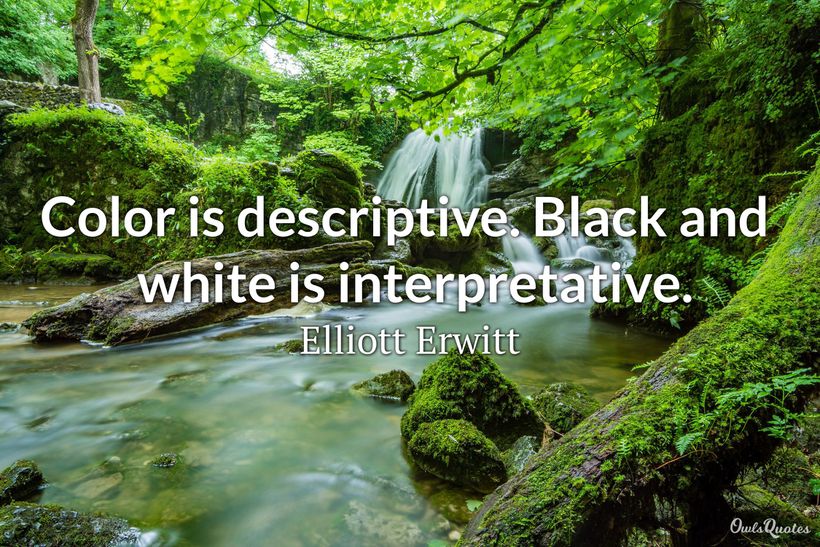 29 Inspirational Quotes About Pure White