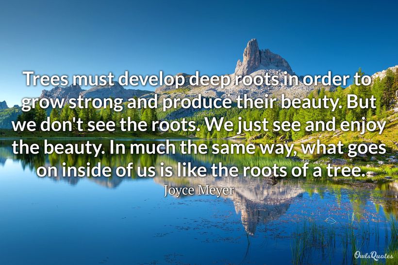 30 Quotes About Roots to Never Forget Your Base