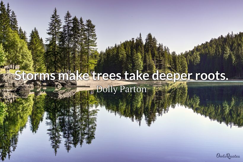 30 Quotes About Roots to Never Forget Your Base