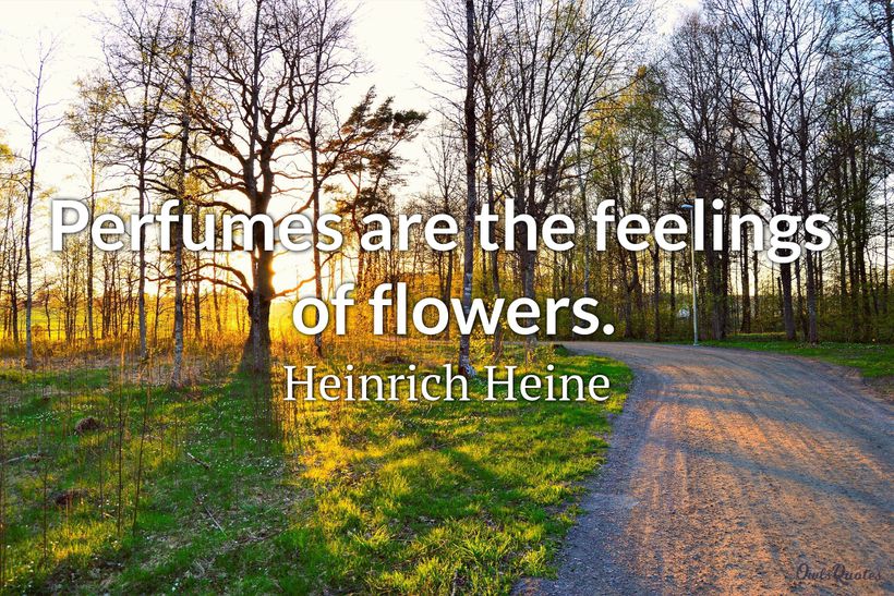 30 Perfume Quotes and Sayings