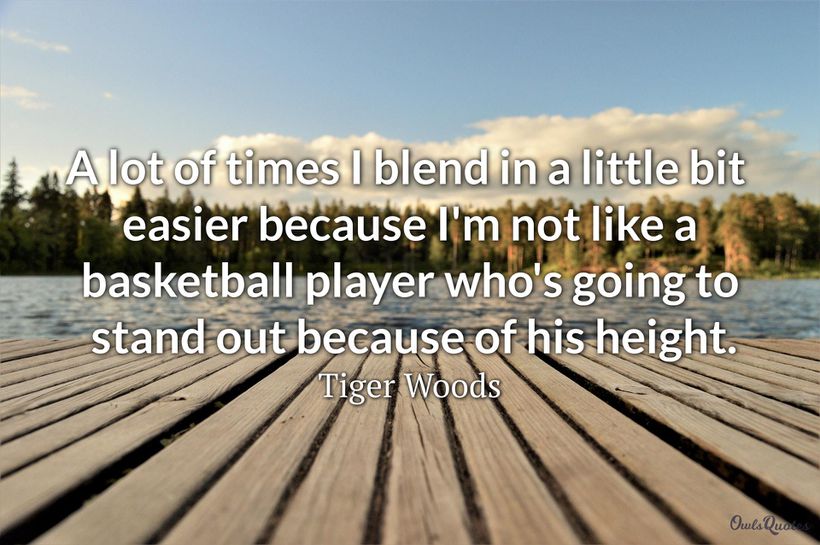 25 Heights Quotes to Motivate Yourself