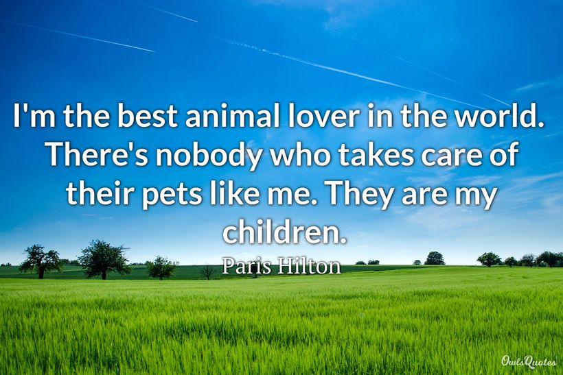 18 Animal Love Quotes