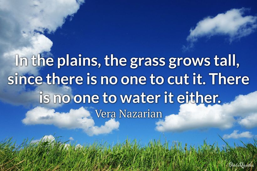 25 Interesting Grass Quotes