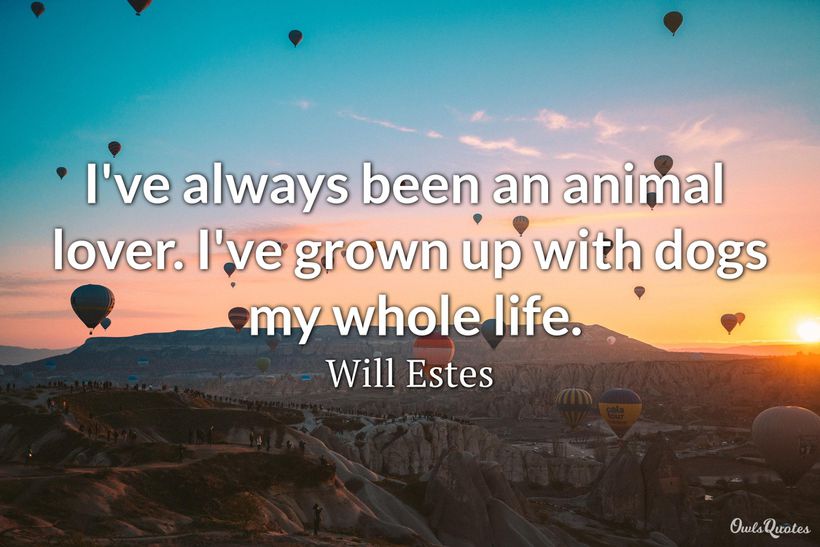 18 Animal Love Quotes