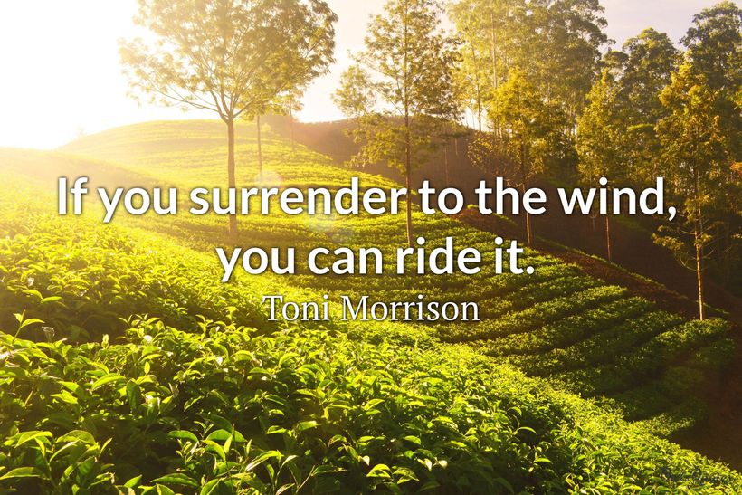 26 Skydiving Quotes That Will Inspire You to Live Life to the Fullest