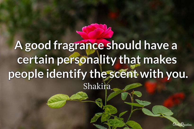 Top 25 Fragrance Quotes