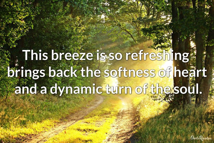 25 Refreshing Quotes to Help You Find the Calm You Need