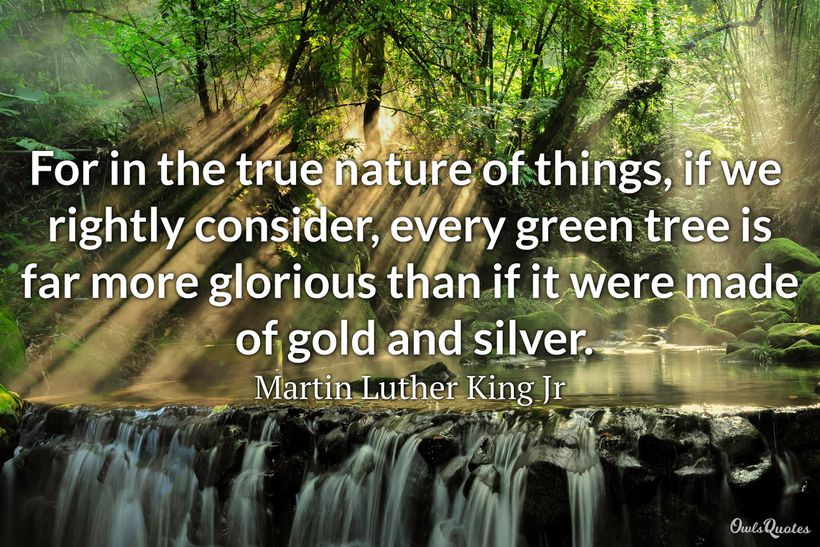 25 Beautiful Scenery Quotes