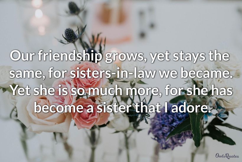 20 Heart Touching Sister In Law Quotes