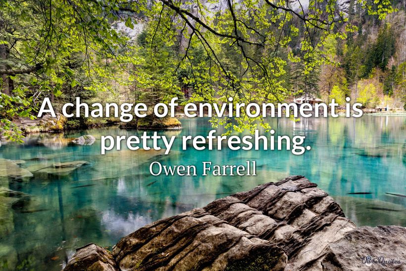 25 Refreshing Quotes to Help You Find the Calm You Need