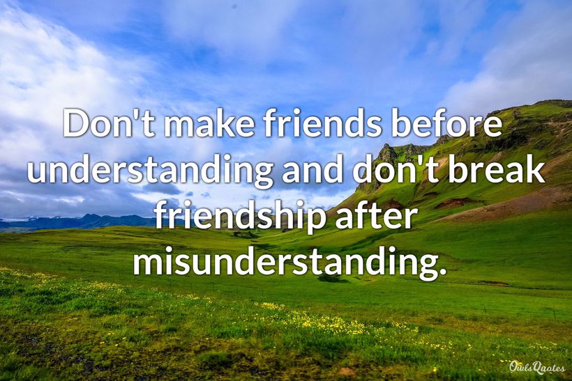 30 quotes on misunderstanding