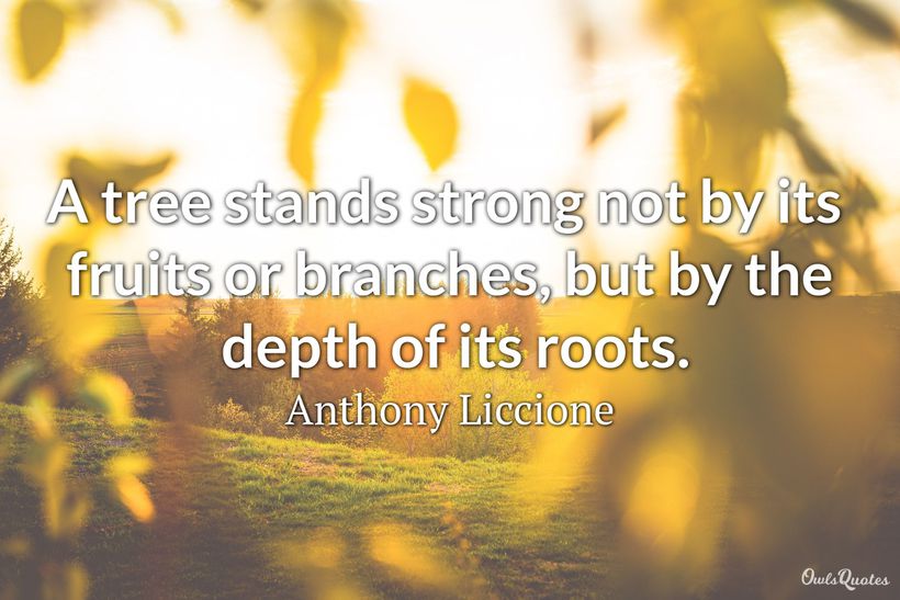 30 Quotes About Roots to Never Forget Your Base