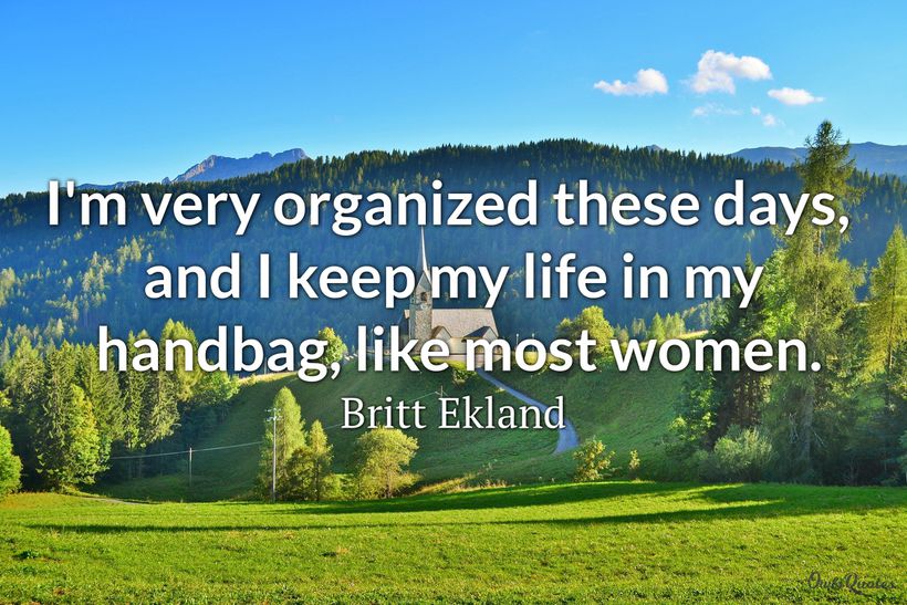 30 Bag Quotes and Sayings