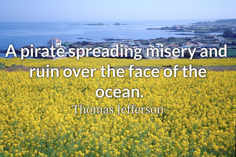 30 Relatable Quotes About Pirates