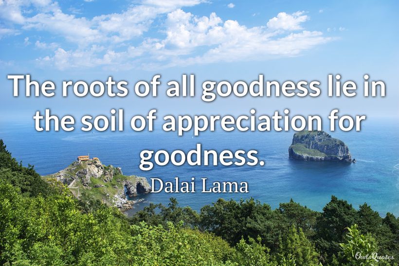 30 Quotes About Roots to Never Forget Your Base